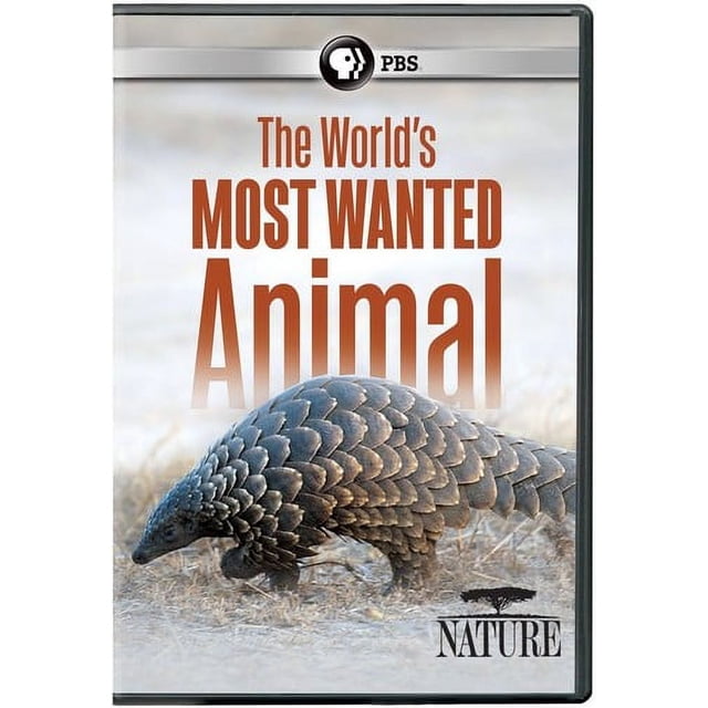 NATURE: The World's Most Wanted Animal (DVD), PBS (Direct), Special ...