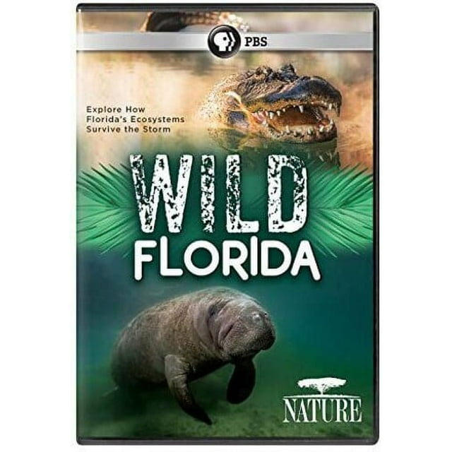 NATURE: Wild Florida (DVD), PBS (Direct), Documentary - Walmart.com