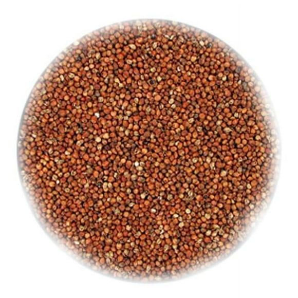 Bulk Bird Seed 50 Lb