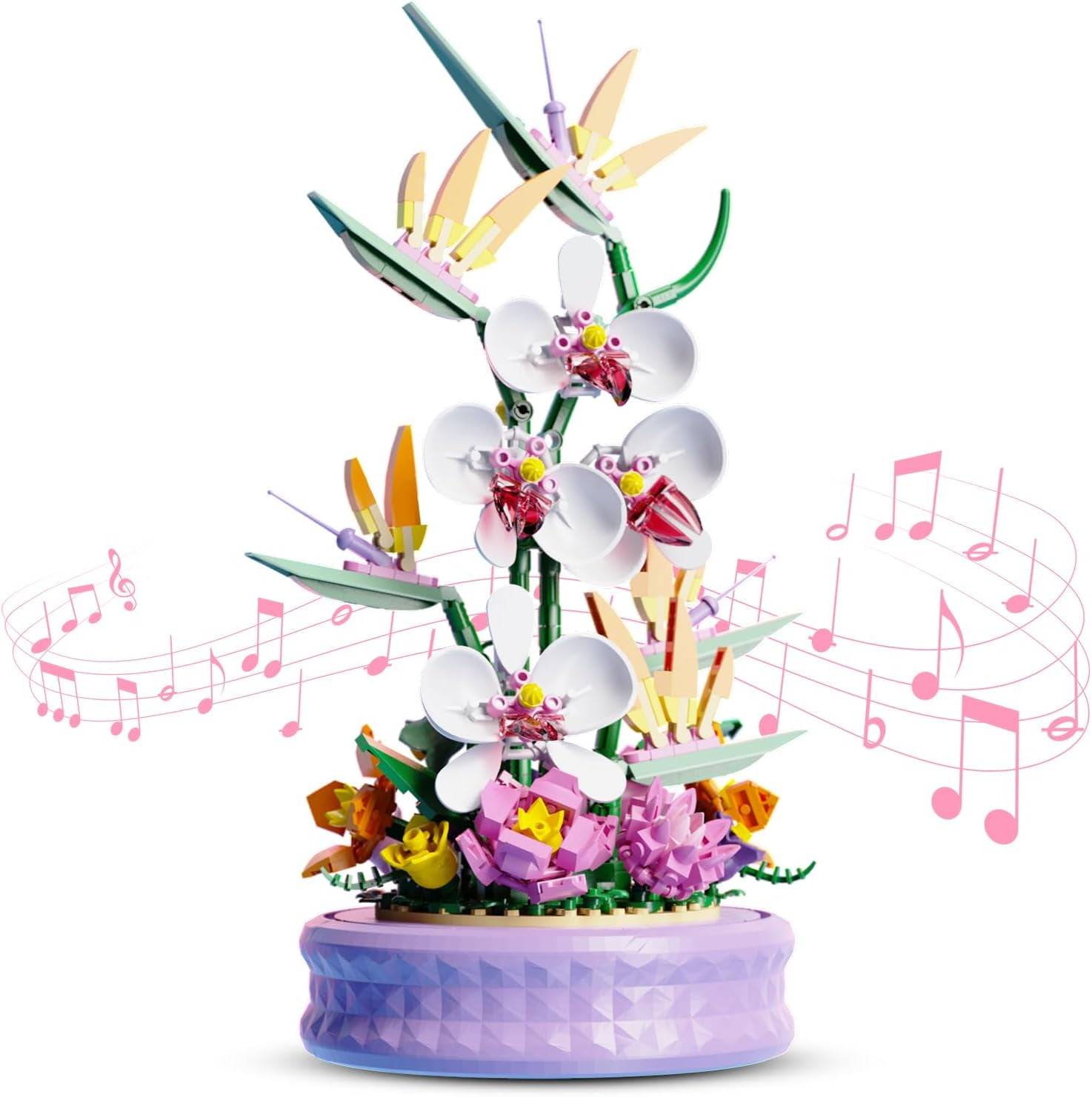 NAYIHOOP Flowers Music Box Building Sets Butterfly Orchid Spinning ...