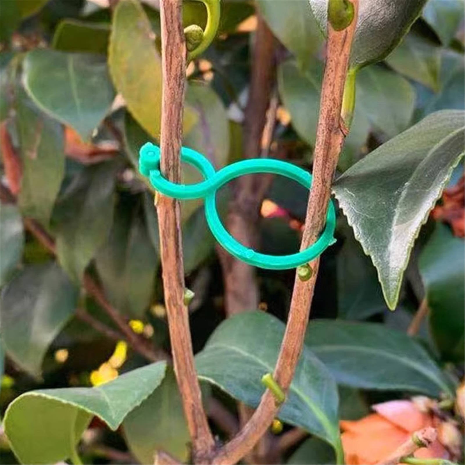 NAZISHW 200 PCS Plant Support Clips Secured Plastic Plant Clips ...