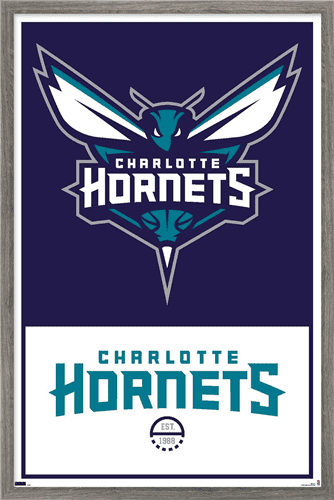 Charlotte Hornets Logo Png