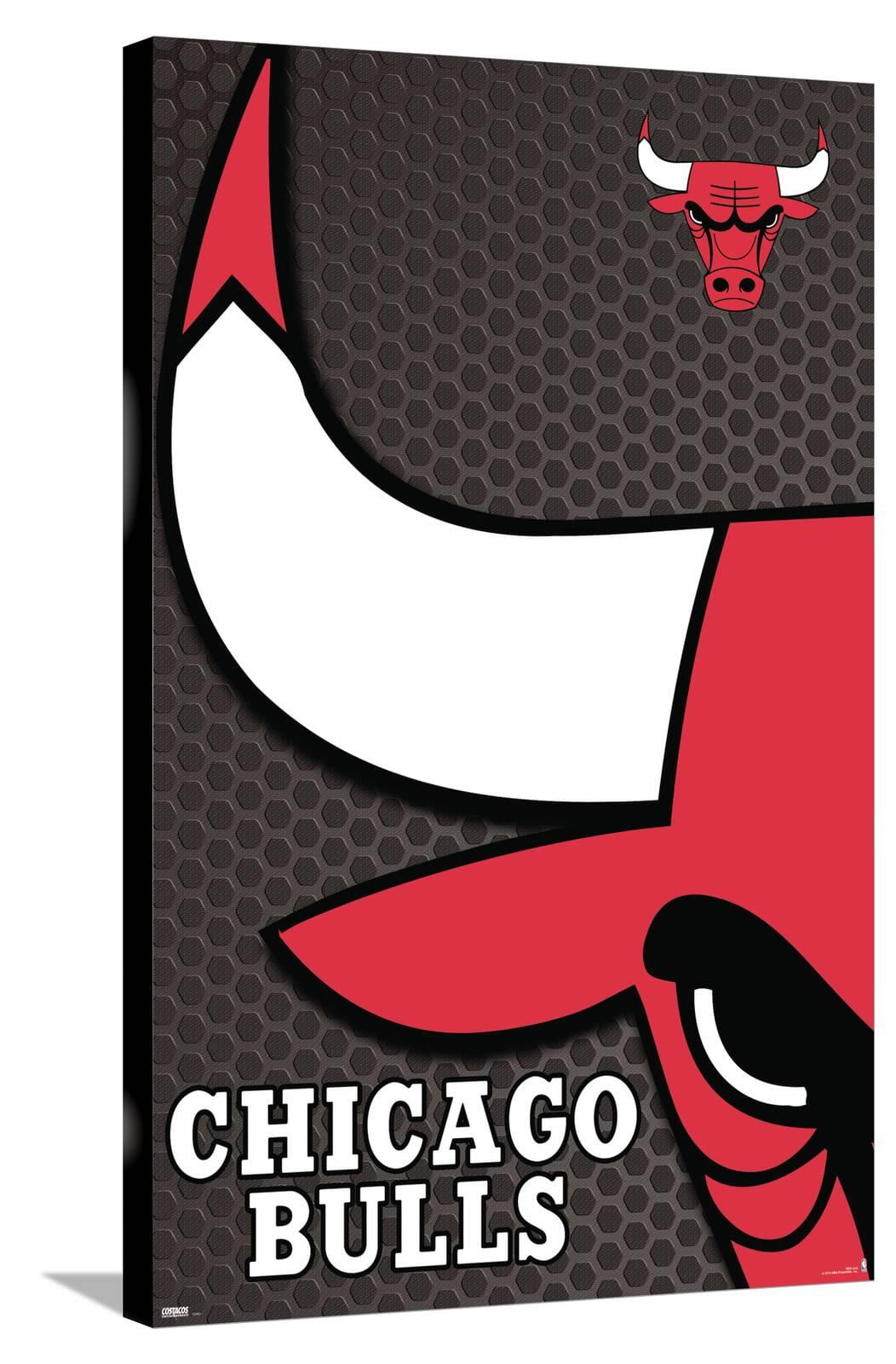 NBA Chicago Bulls - Logo 14 Canvas Wall Poster, 22.375" x 34" - Walmart.com