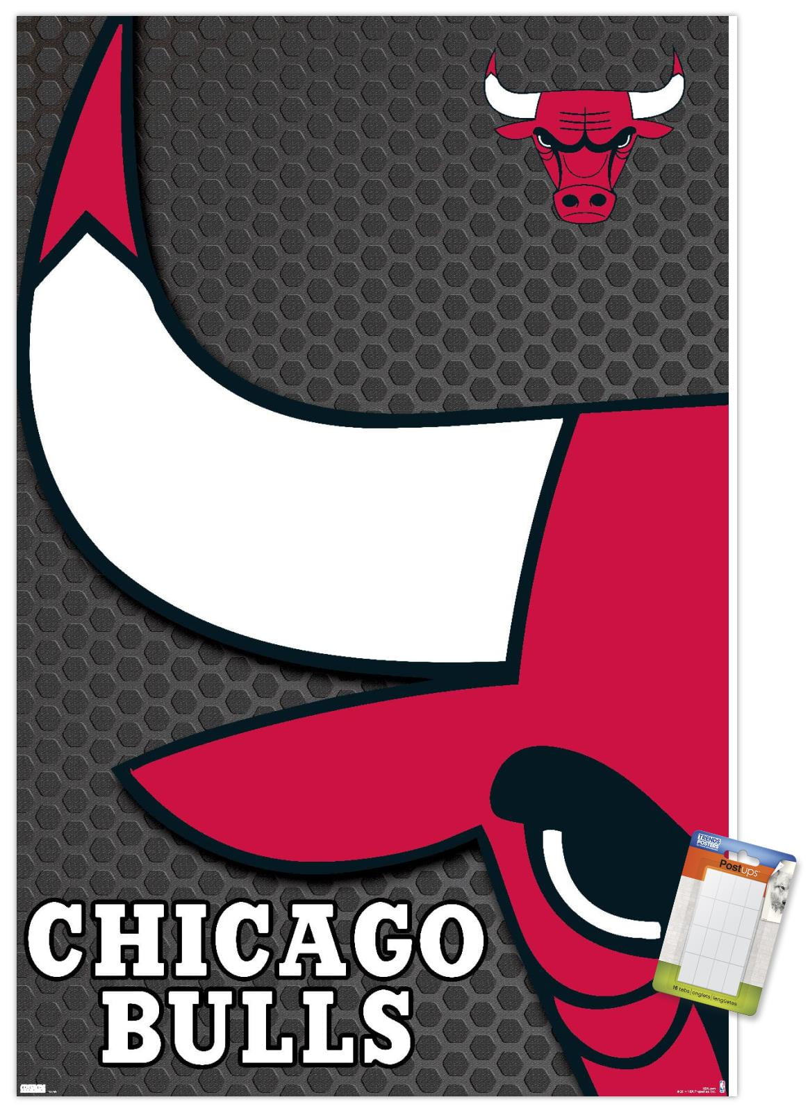 NBA Chicago Bulls - Logo 14 Wall Poster, 14.725" x 22.375" - Walmart.com
