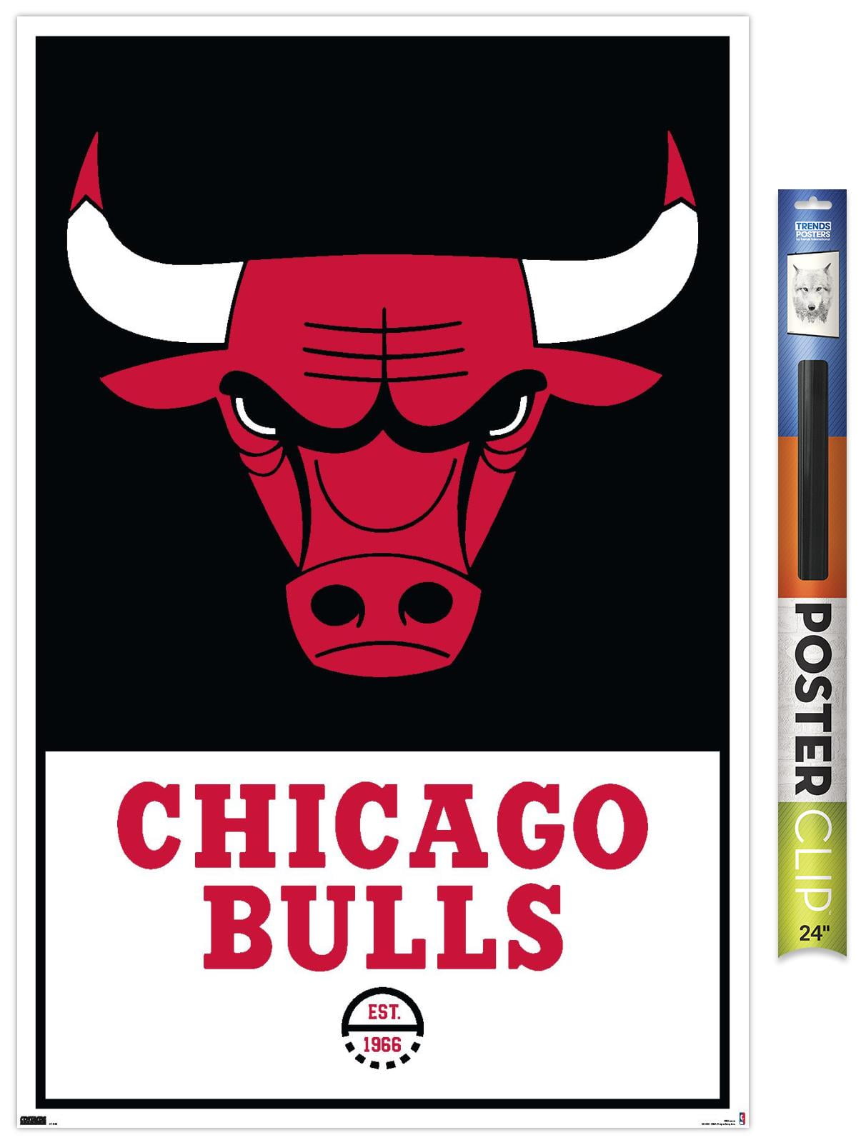 NBA Chicago Bulls - Logo 21 Wall Poster, 22.375" x 34" - Walmart.com