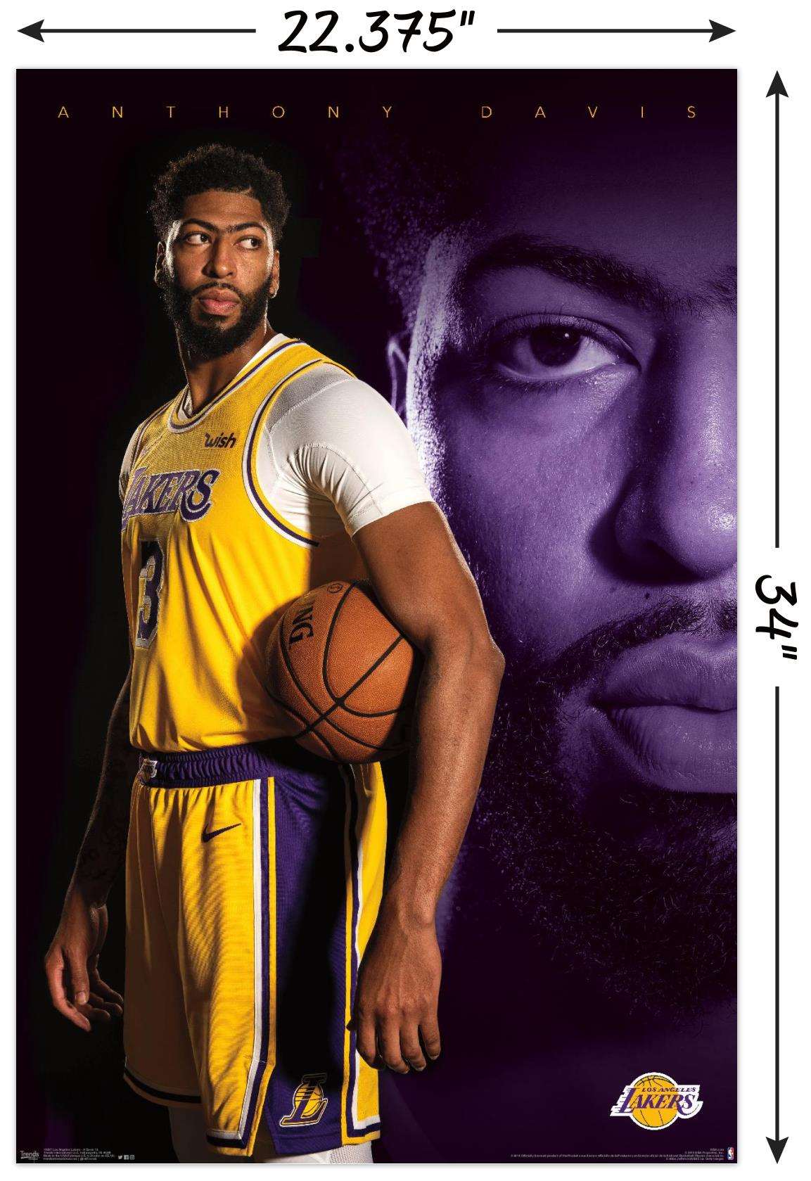 Los Angeles Lakers - Lebron James Poster and Poster Mount Bundle ...