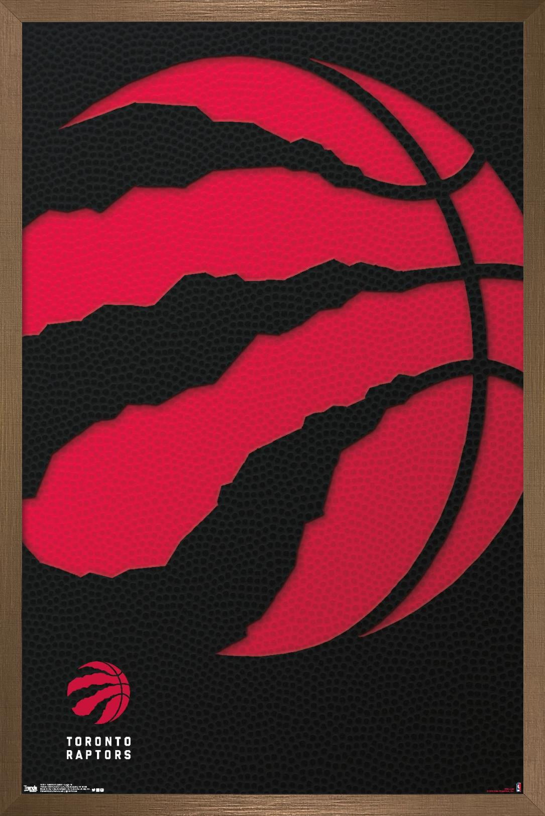 NBA Toronto Raptors - Logo 18 Wall Poster, 14.725" x 22.375", Framed ...
