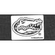 NCAA Florida Gators Collegiate Gator Head Mini Stencil Kit - Walmart.com