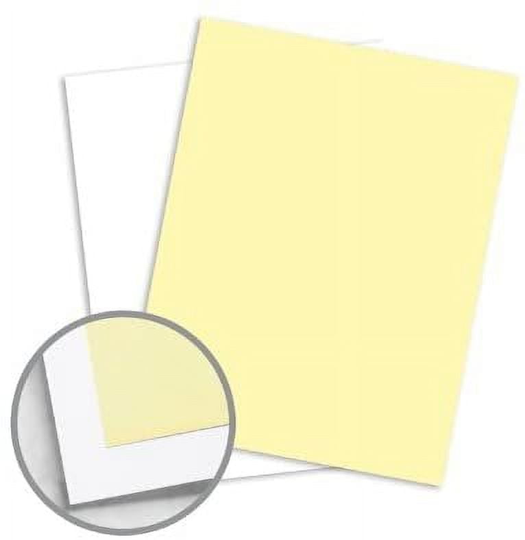 NCR Paper Brand Superior Multi-Colored Carbonless Paper - 8 1/2 x 11 in ...