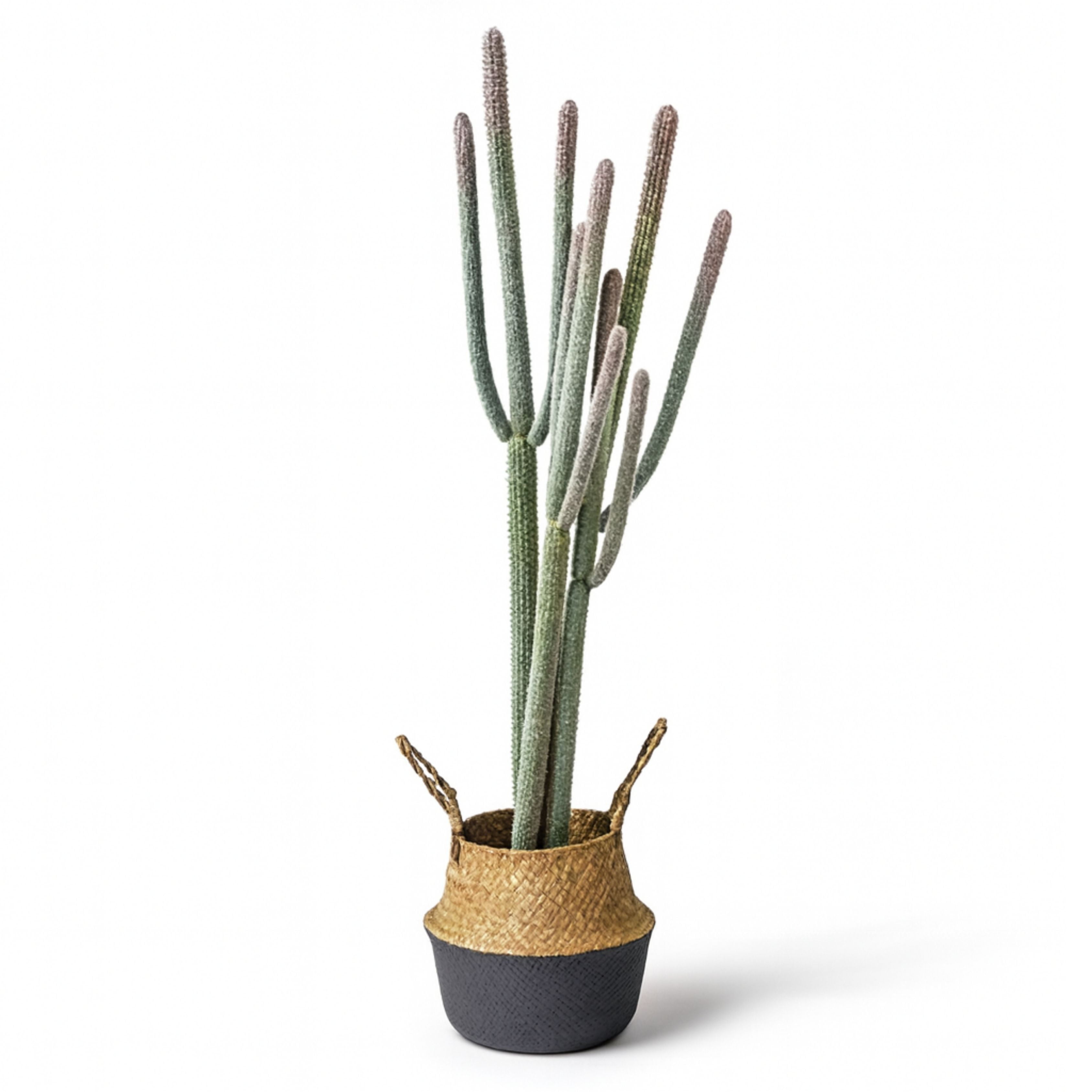 NCYP 4ft (48 Inch) Tall Artificial Cactus in Plastic Planter with ...