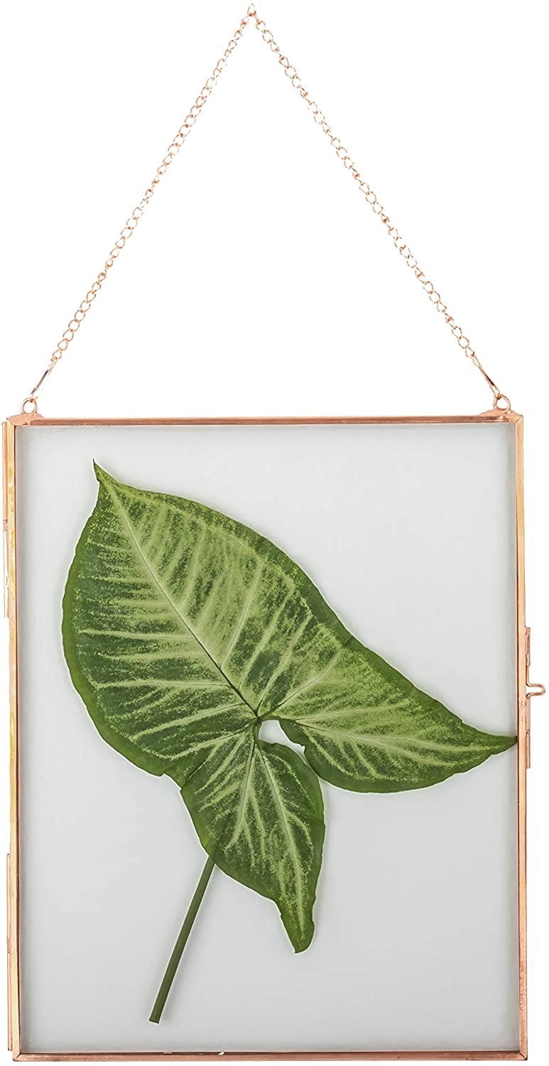 NCYP 8" x 10" Wall Hanging Glass Display Frame for Certificate Photo ...