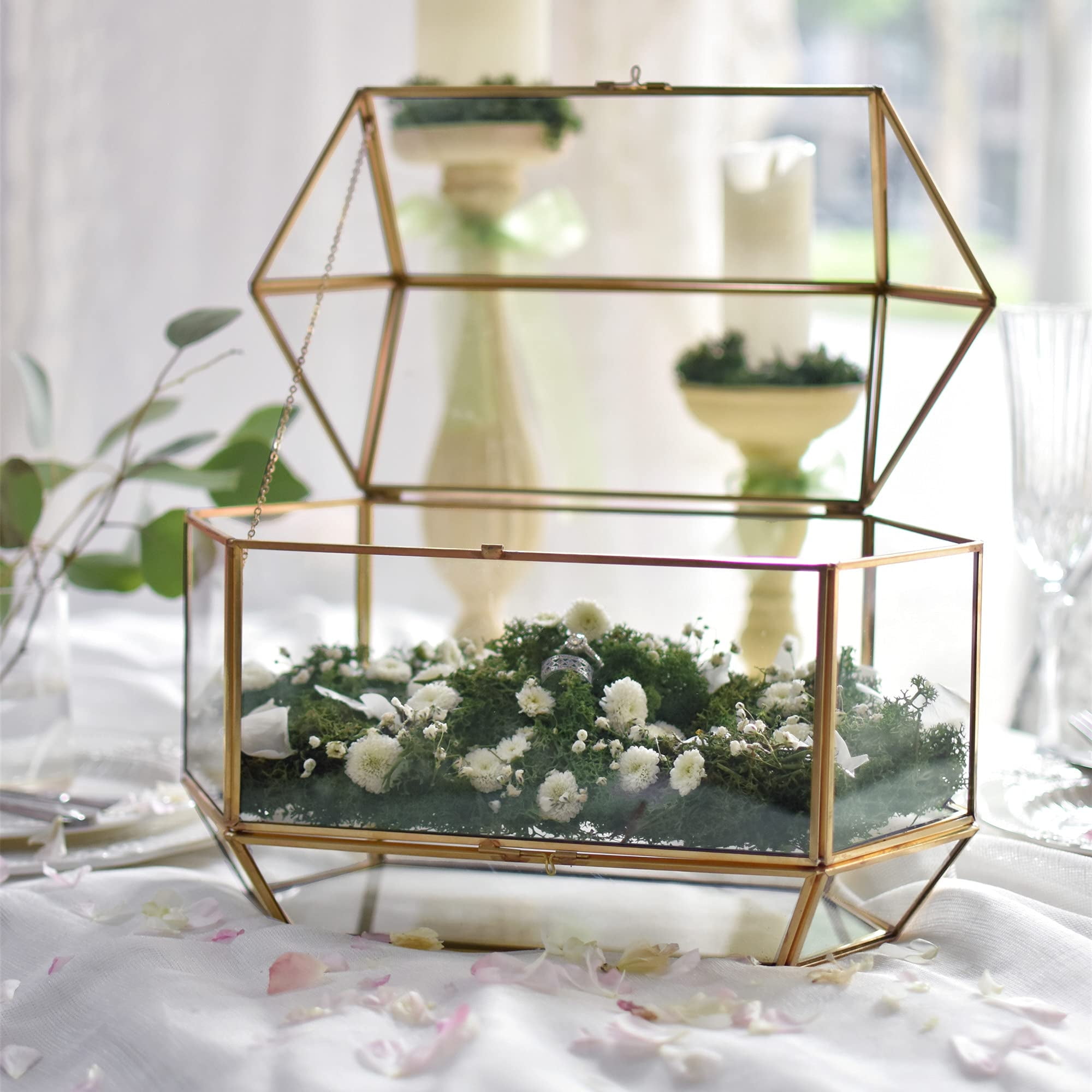 NCYP Double-sided Opening Geometric Glass Box with Lid for Display ...