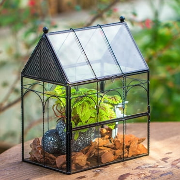 9.5” Gold Geometric Triangle Glass Terrarium by Ashland - Hanging ...