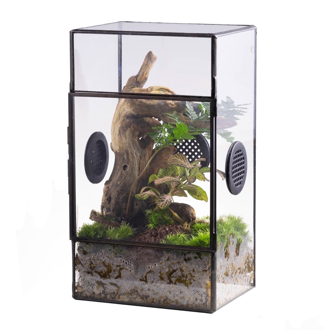 NCYP Glass Geometric Terrarium with Door, with Plastic Mesh Vent Holes ...