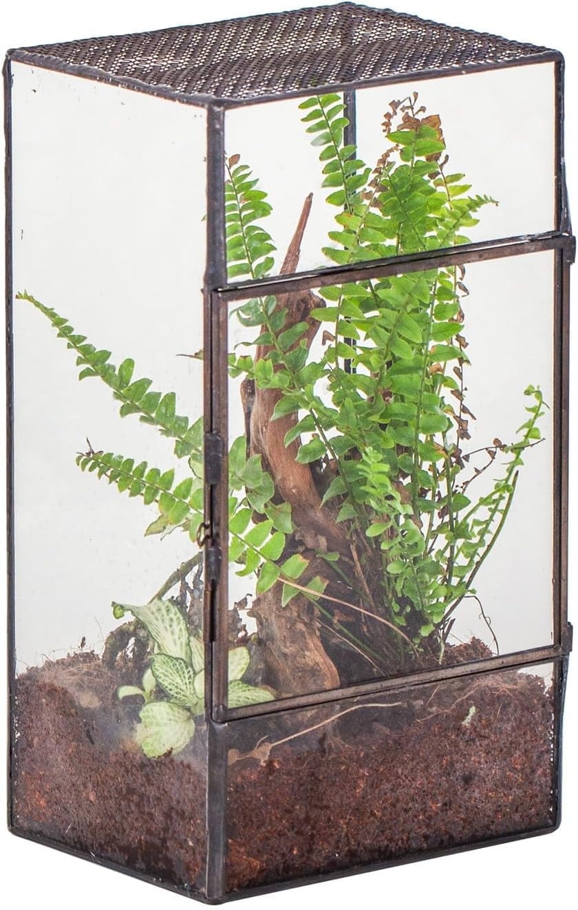 NCYP Glass Terrarium with Door and Mesh for Small Insects - 5.1 x 3.9 x ...