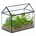 NCYP House Shape Glass Terrarium, Acrylic Lid, Ventilated, 10.2x5.9x8.2 ...