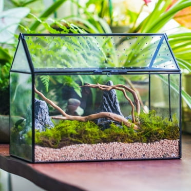 Mouse Glass Terrarium W/ Cork Lid - Walmart.com