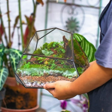 Mouse Glass Terrarium W/ Cork Lid - Walmart.com