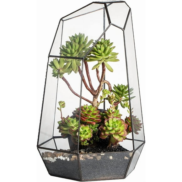 Large Terrarium Glass