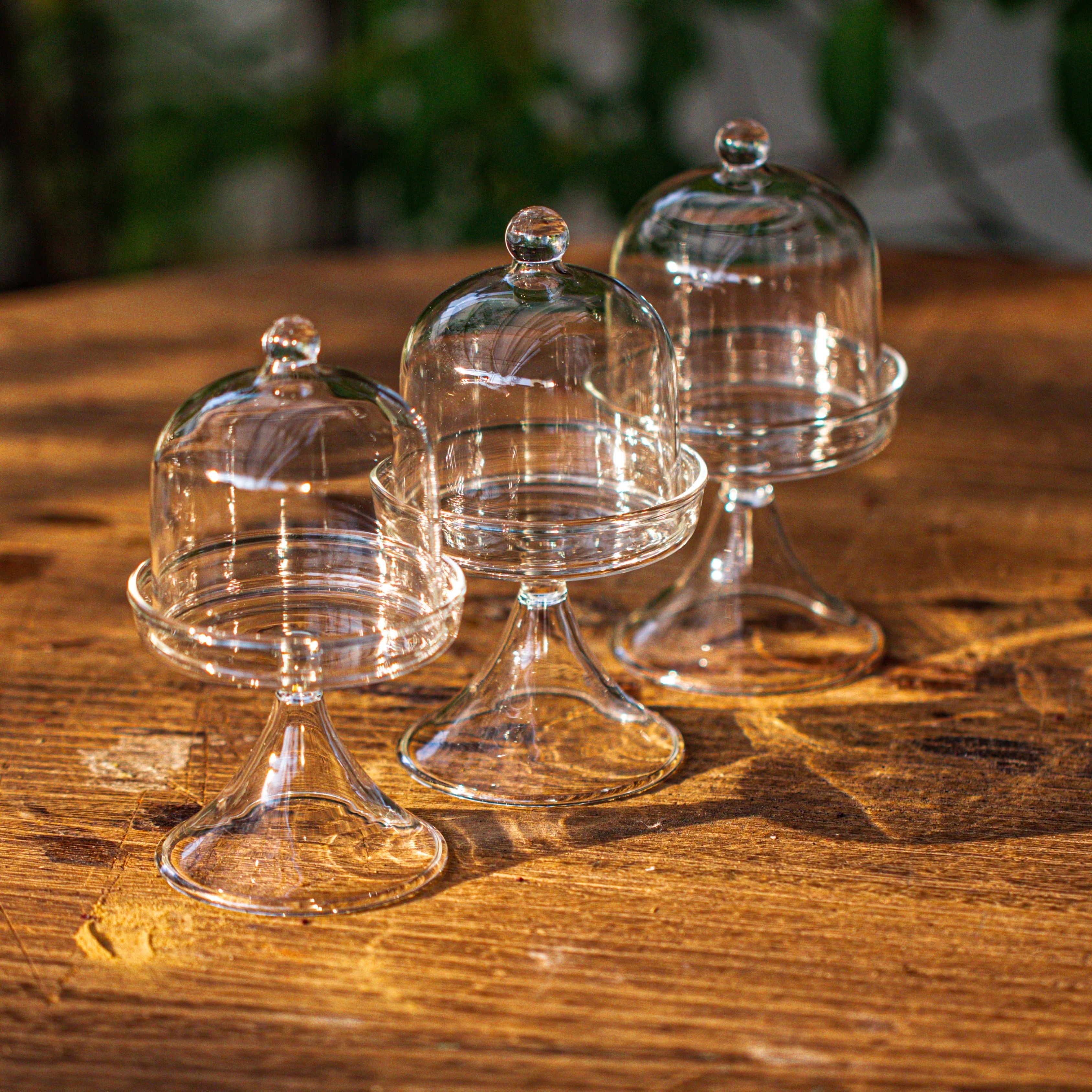 NCYP Mini Glass Bell Dome with Stand and Tiny Acrylic Cube Planter for ...