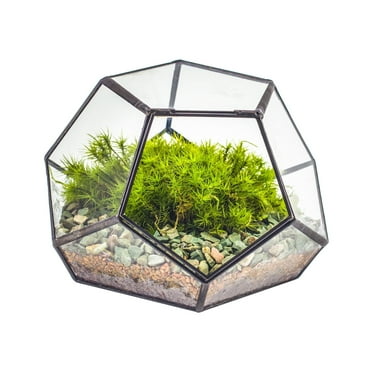Panacea 10.25" Clear Glass Sphere Terrarium with Feet - Walmart.com