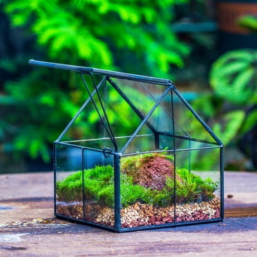 Mouse Glass Terrarium W/ Cork Lid - Walmart.com