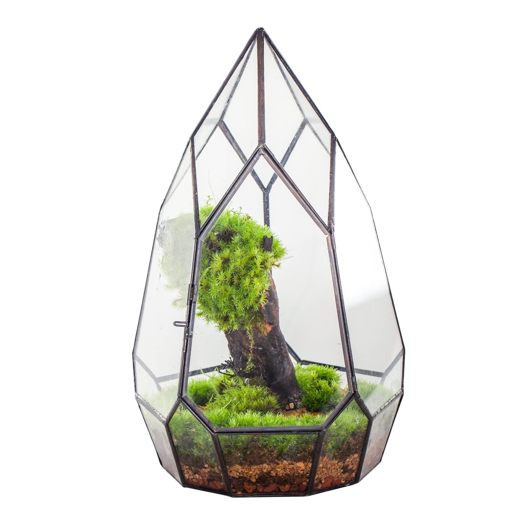 NCYP Geometric Glass Terrarium Container with Door for Plants & Decor ...
