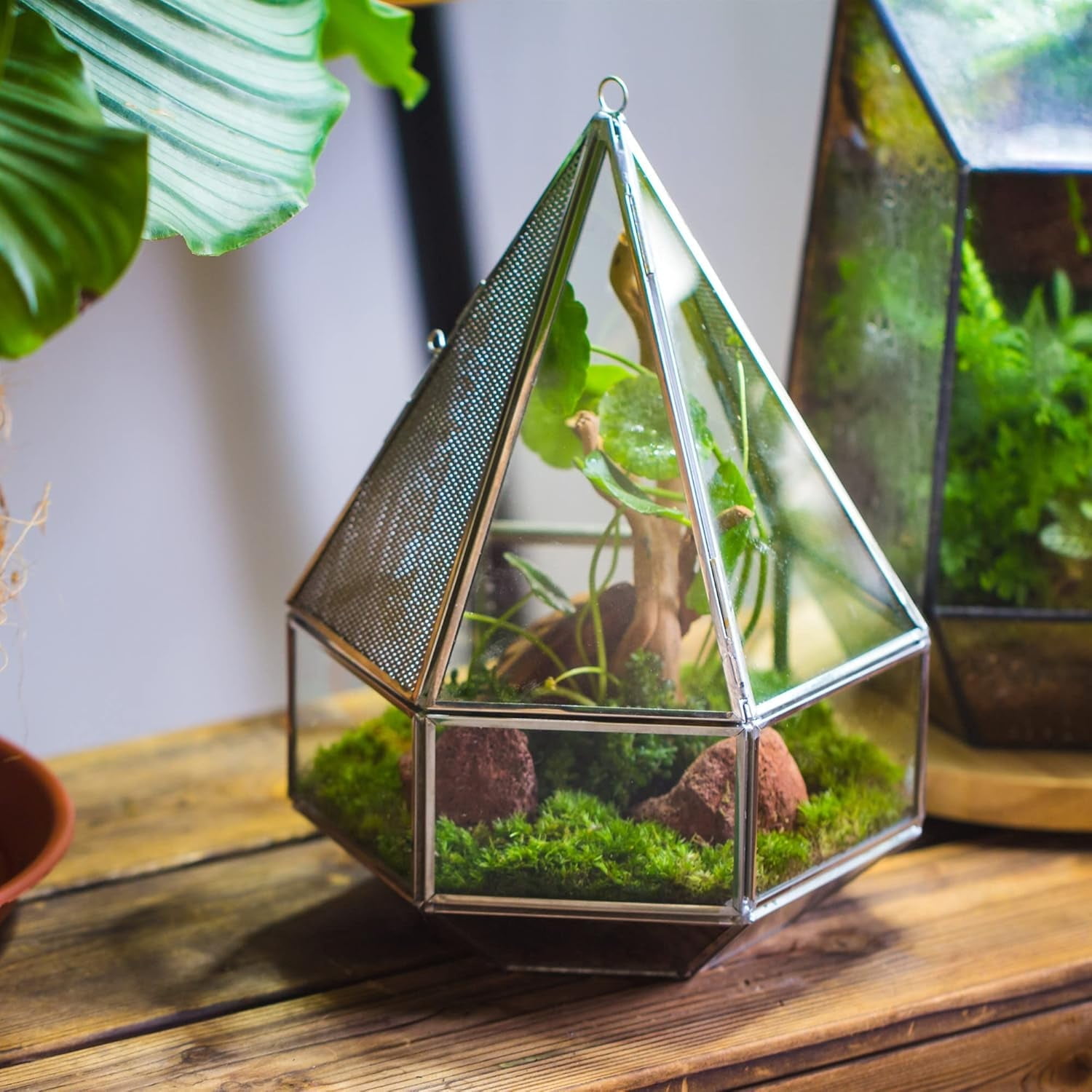 NCYP Silver Hanging Geometric Glass Terrarium with Door & Mesh for ...