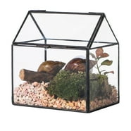 Mouse Glass Terrarium W/ Cork Lid - Walmart.com