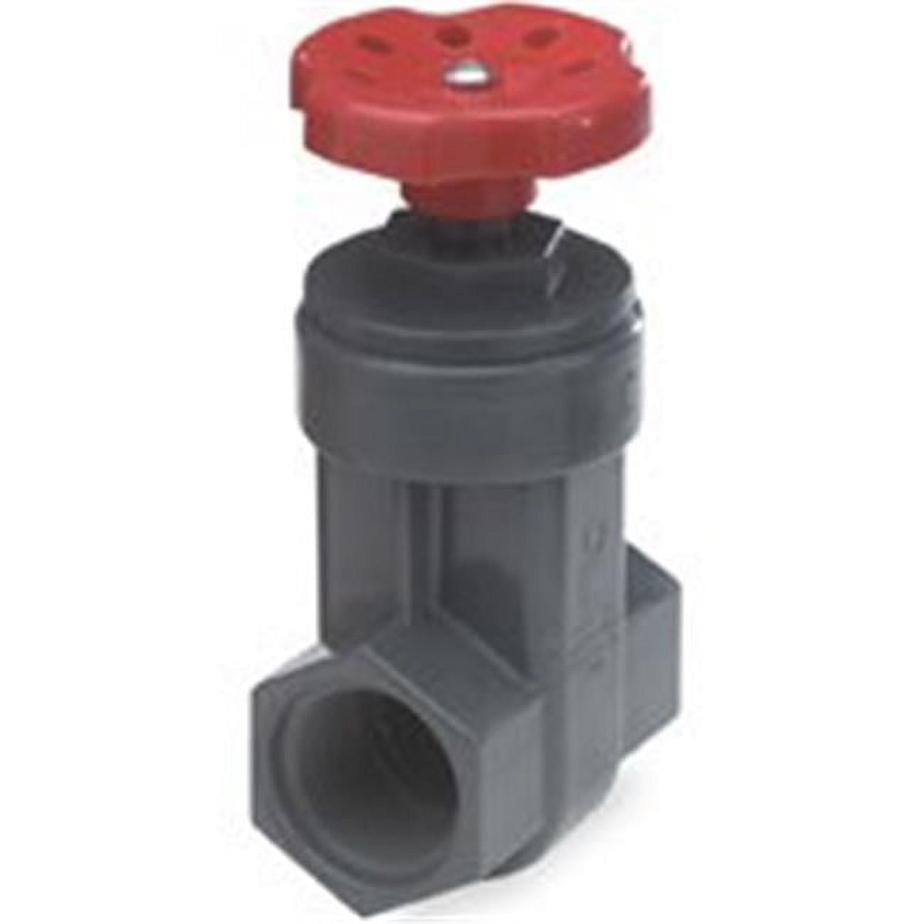 NDS GVG-0750-T Gate Valve 3/4 in FIP PVC - Walmart.com