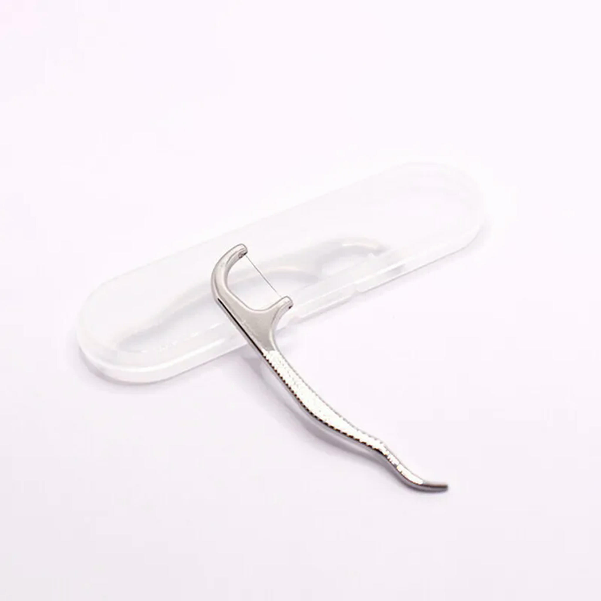 NEBULOUSTRANCE 1Set Stainless Steel Toothpick With Box Dental Floss ...