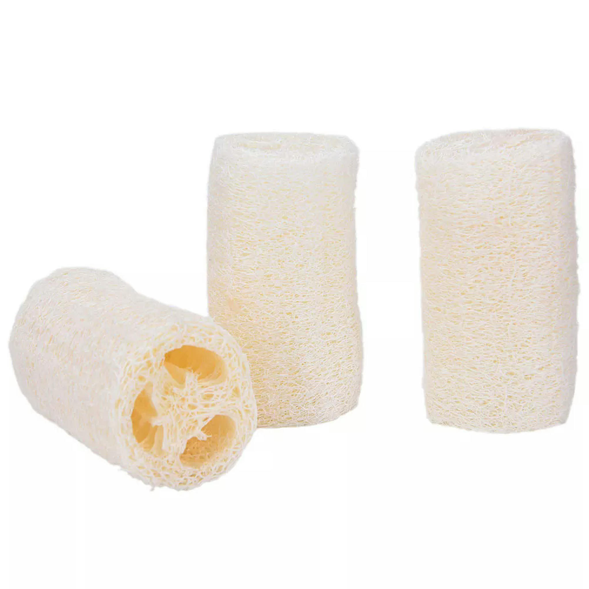 NEBULOUSTRANCE Natural Loofah Luffa Bath Shower Wash Body Pot Bowl ...