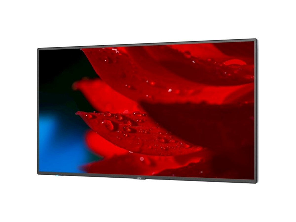 "NEC 55"" Large Screen Monitor with Wide Color Gamut & Ultra High ...