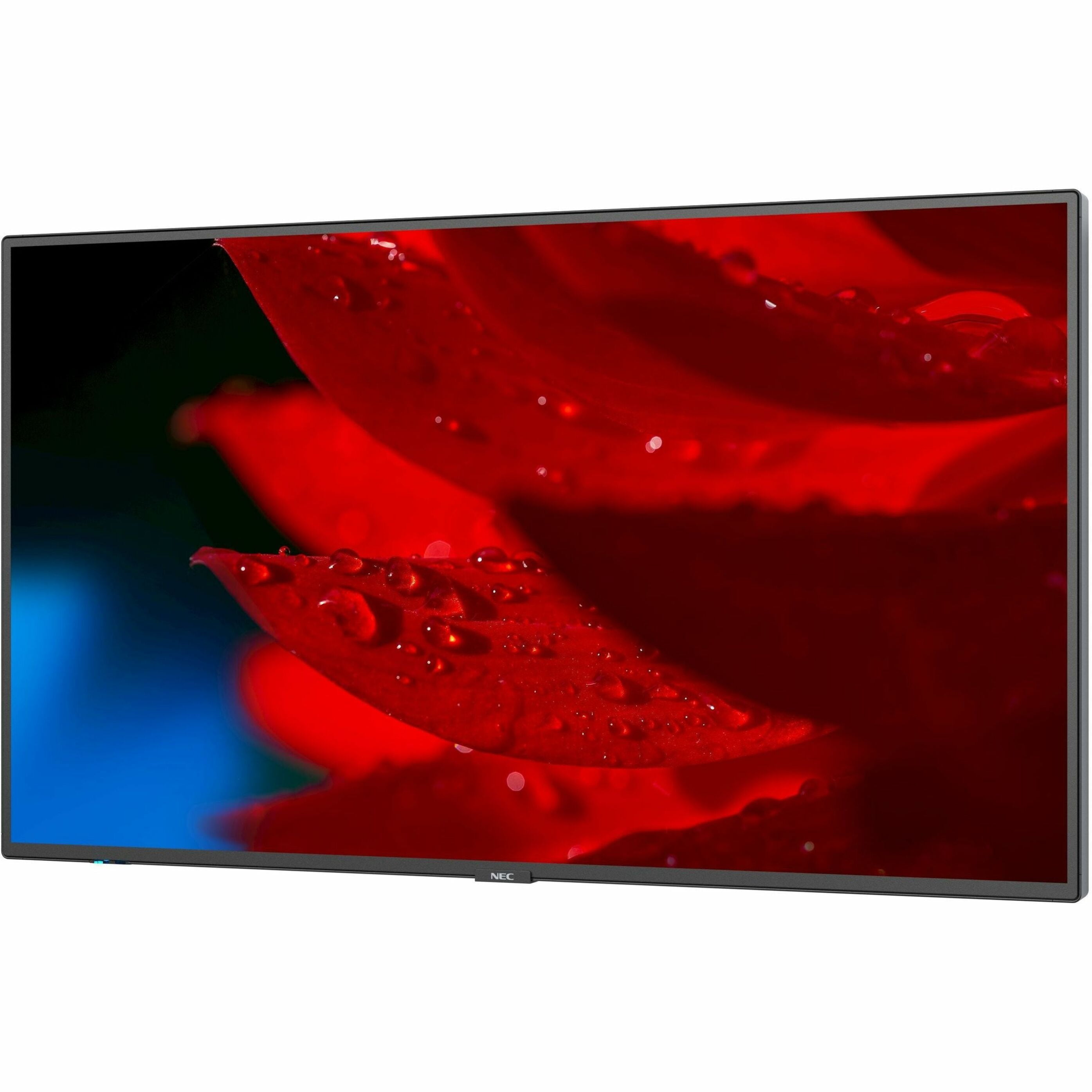 NEC Display 55" Wide Color Gamut Ultra High Definition Professional ...