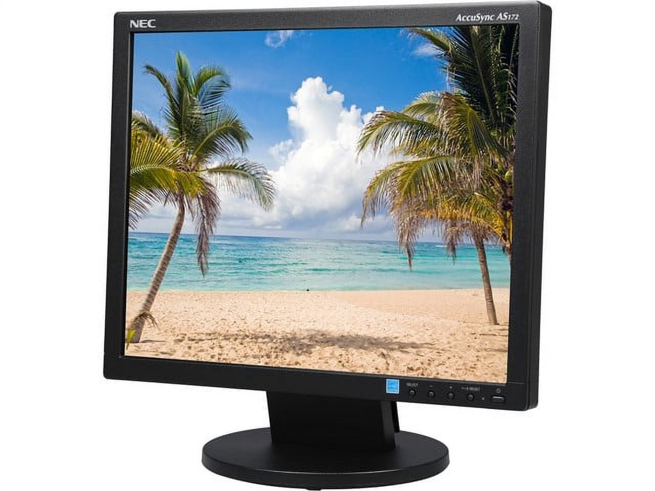 NEC Display AccuSync AS172-BK 17-inch LCD Monitor - Walmart.com