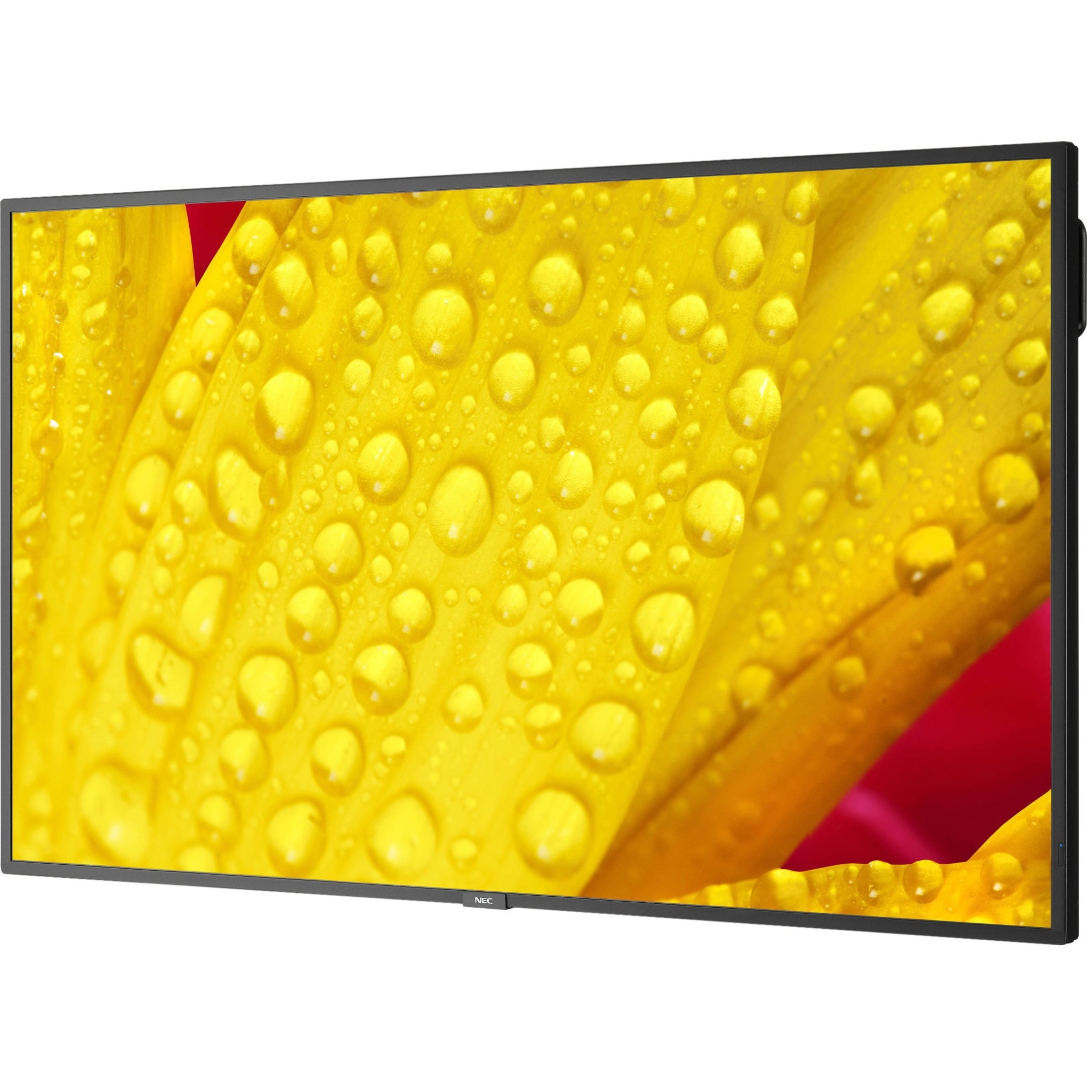 NEC Display Solutions MultiSync ME651 65" Public Display, 3840 x 2160 ...