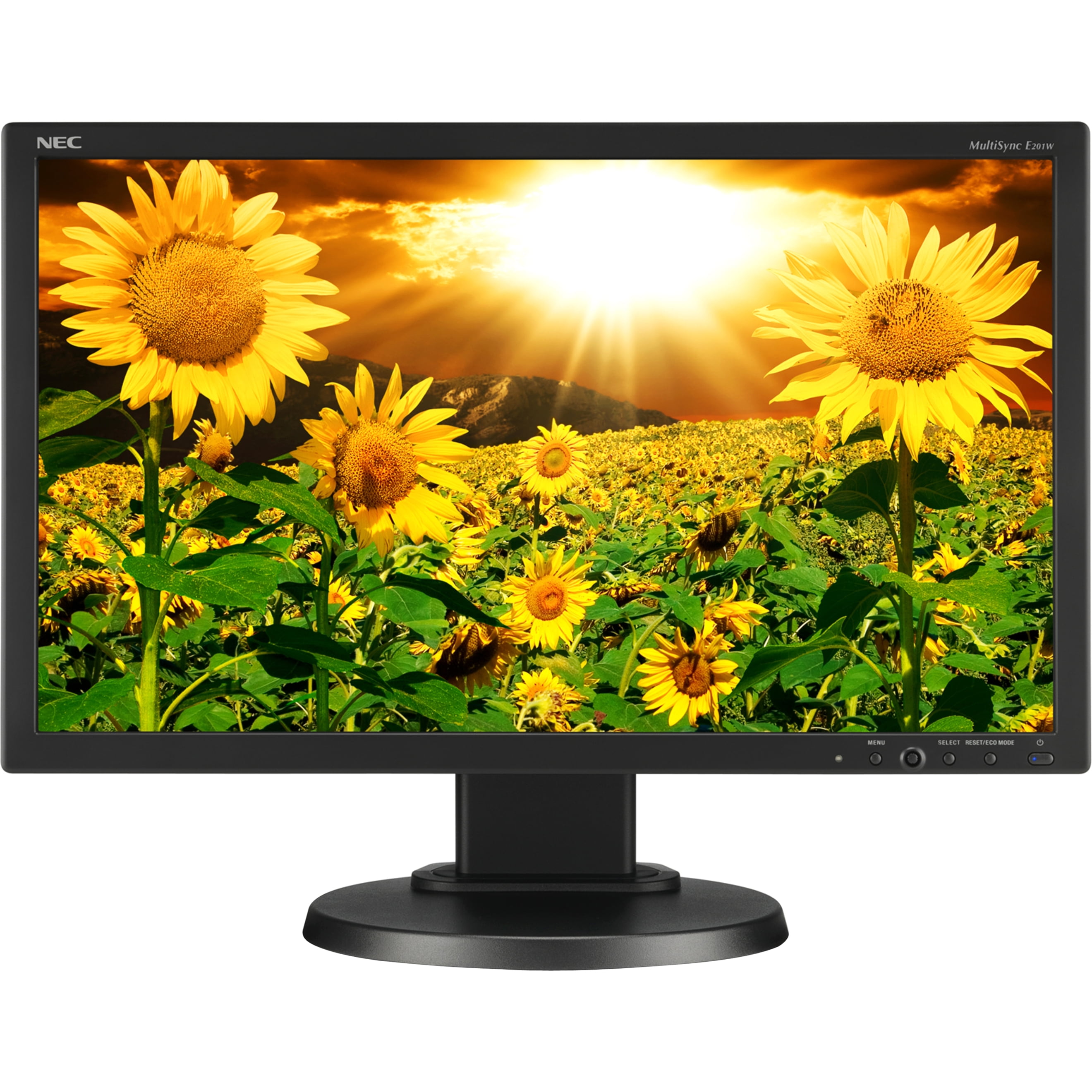 NEC Display MultiSync E201W 20" LED LCD Monitor, 16:9 - Walmart ...