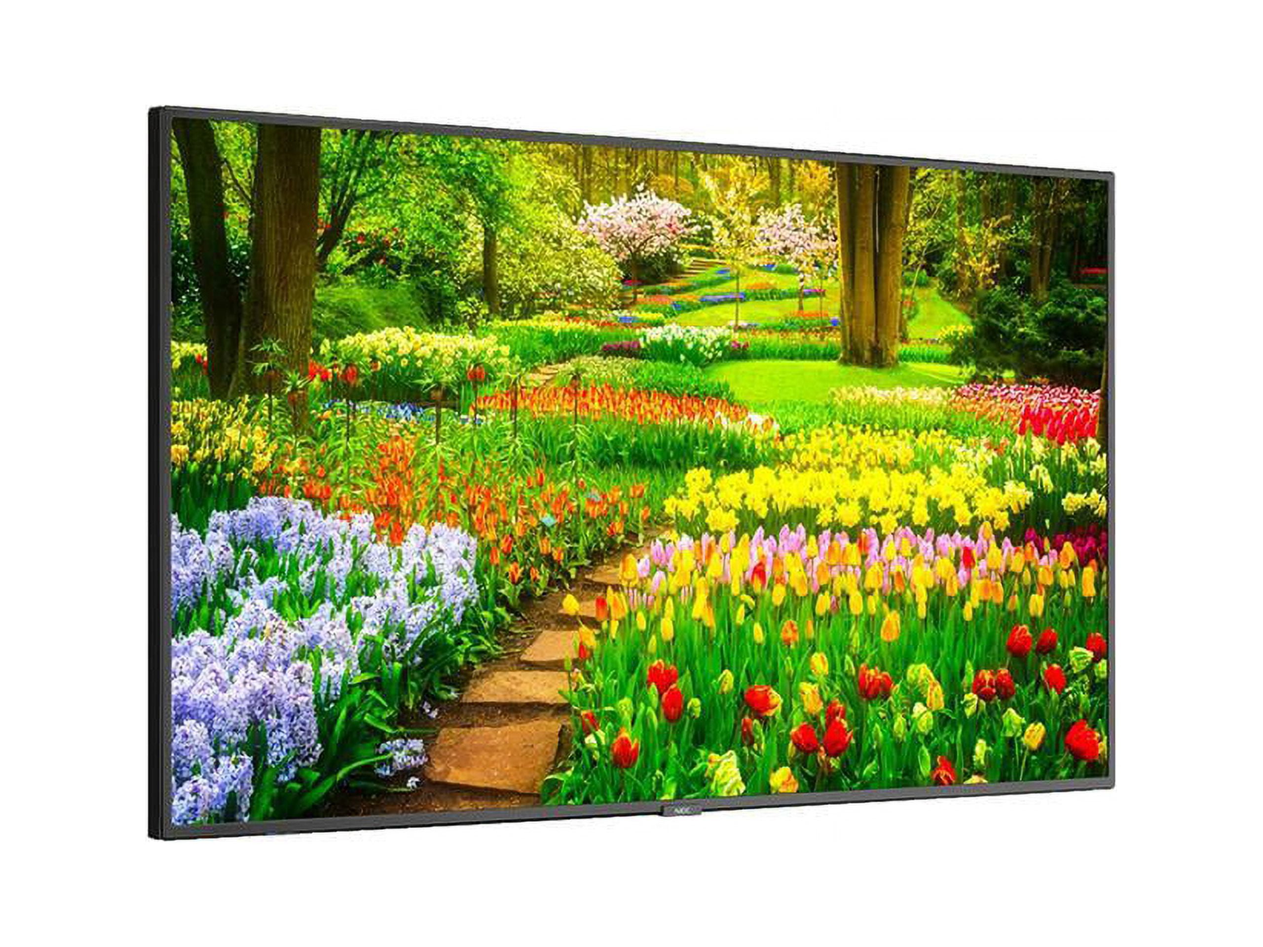 "NEC Display Solutions Large 49"" 4K UHD LED LCD Monitor, High Haze, 24 ...