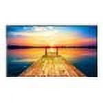 NEC E506 E Series - 50" LED display - Walmart.com
