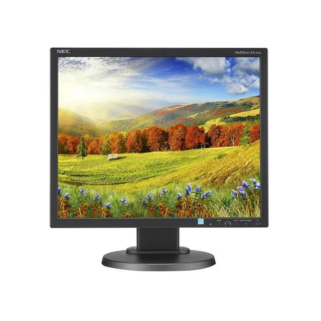 NEC EA193MI-BK 19" LED-backlit Desktop Monitor w/ IPS Panel and ...