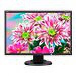 NEC MultiSync E223W-BK - LED monitor - 22" - Walmart.com
