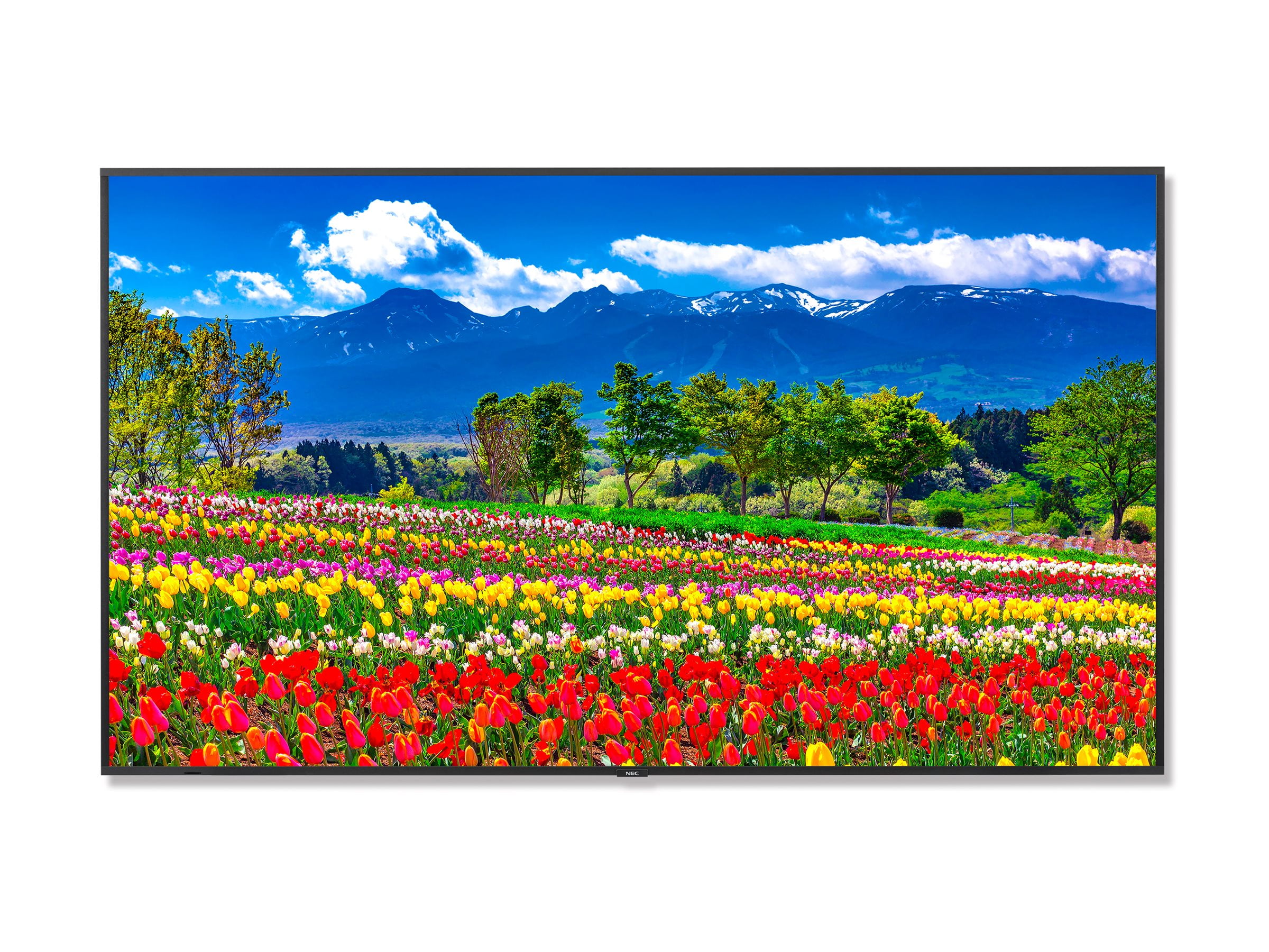 NEC MultiSync M751-AVT3 - 75" Diagonal Class M-Series LED-backlit LCD ...