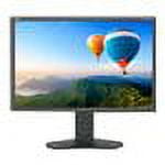 NEC MultiSync PA302W-BK - LED monitor - 30" - Walmart.com