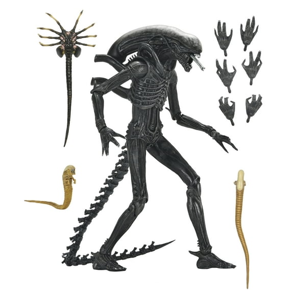 Xenomorph Action Figures