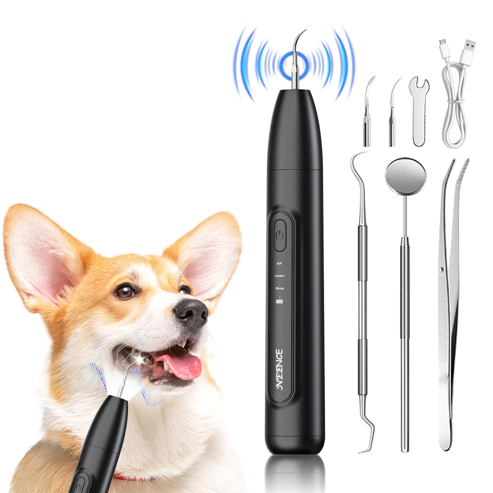 NEENCE Dog Tooth Plaque YPF5 Remover, Dog Tooth Brushing Kit with LED ...
