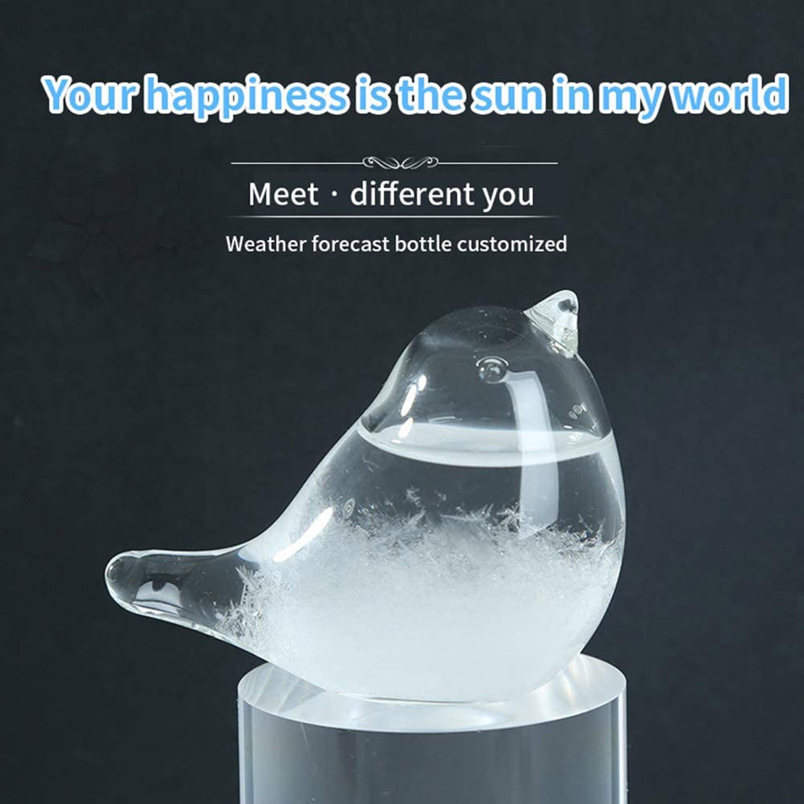 NEGJ Glass Glass Forecaster Weather Liquid Weather Barometer 30ml ...