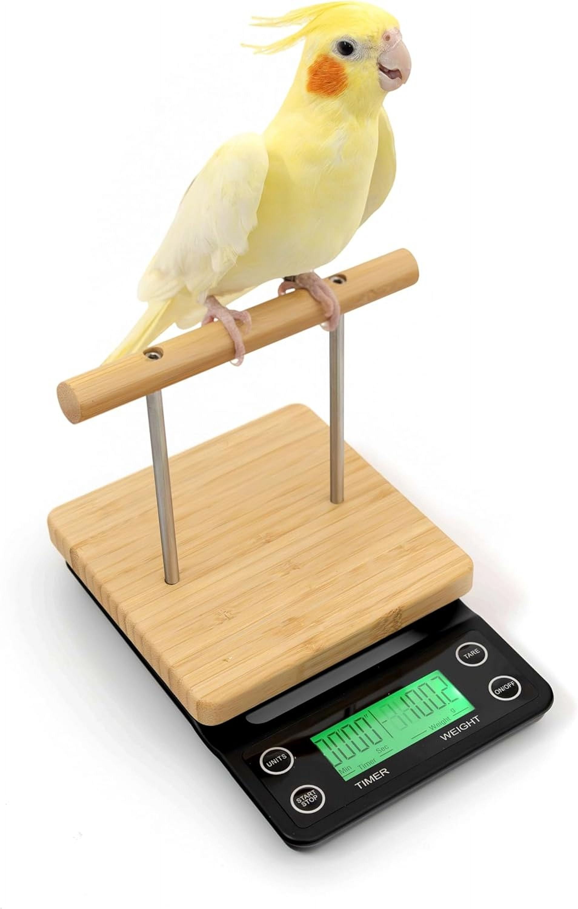NEOUZA Perch-Mounted Pet Bird Scale, Parrot Weight Scale with Perch ...