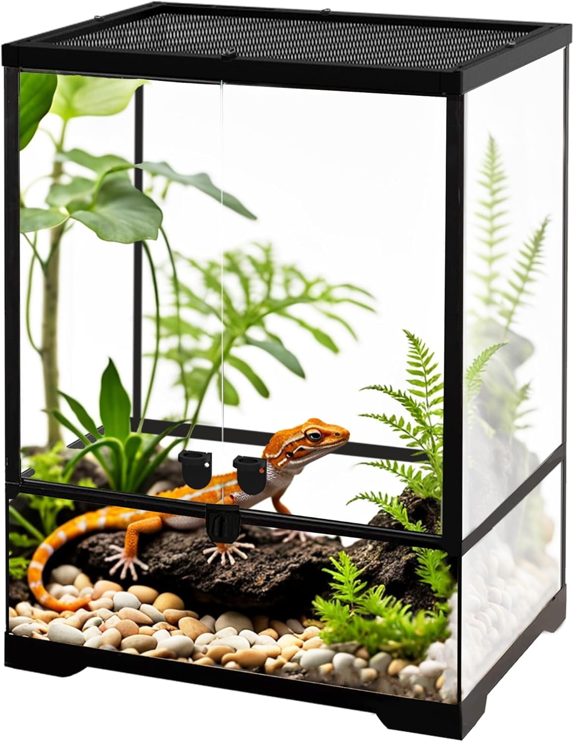 NEPTONION 32 Gallon Professional Glass Terrarium 18"x18"x24" Durable ...