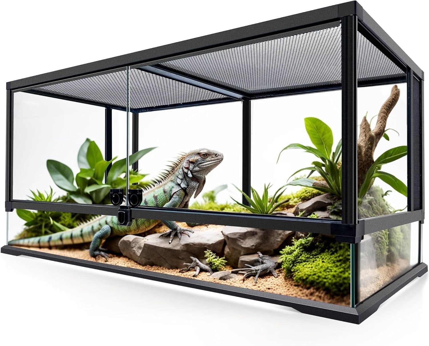 NEPTONION 48 Gallon Professional Glass Terrarium 36"x18"x18" Reptile ...