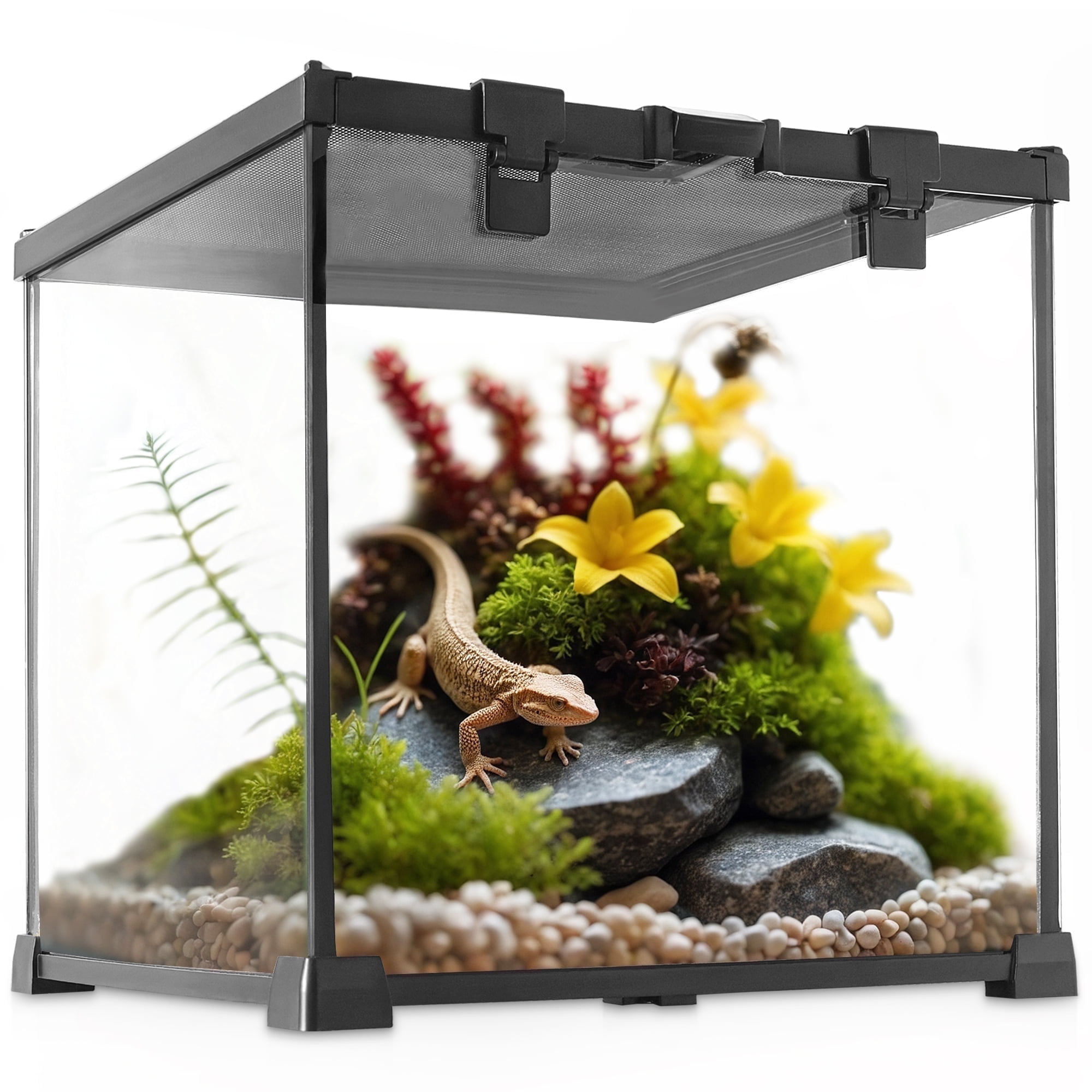 NEPTONION Mini Reptile Glass Terrarium 12"x12"x12" with Heat Resistant ...